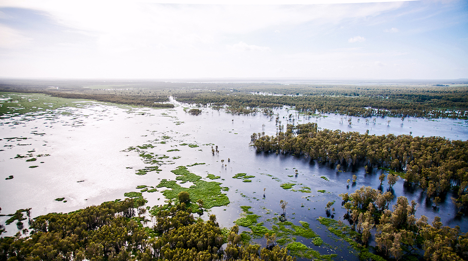 Hunting for crocodiles in the wetlands of the Northern Territory ...
