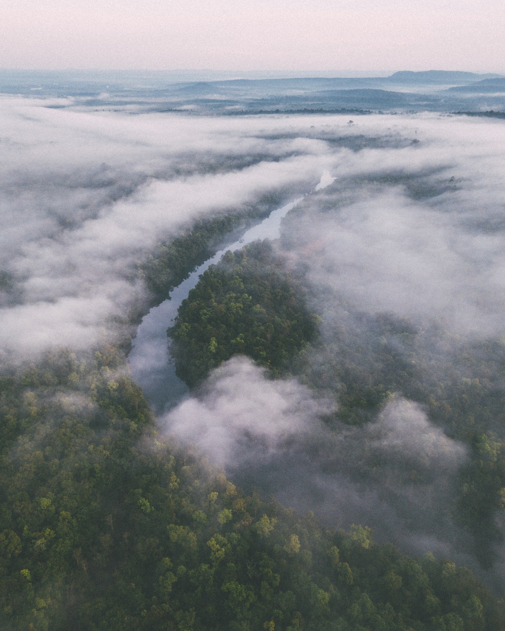 Wildest dreams: Saving Cambodia's Cardamom Mountains - SilverKris