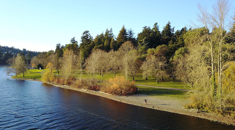 Seattle's hot spots for sports and nature lovers - SilverKris